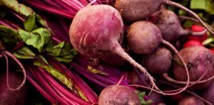 Tout savoir sur la culture de la betterave rouge au potager